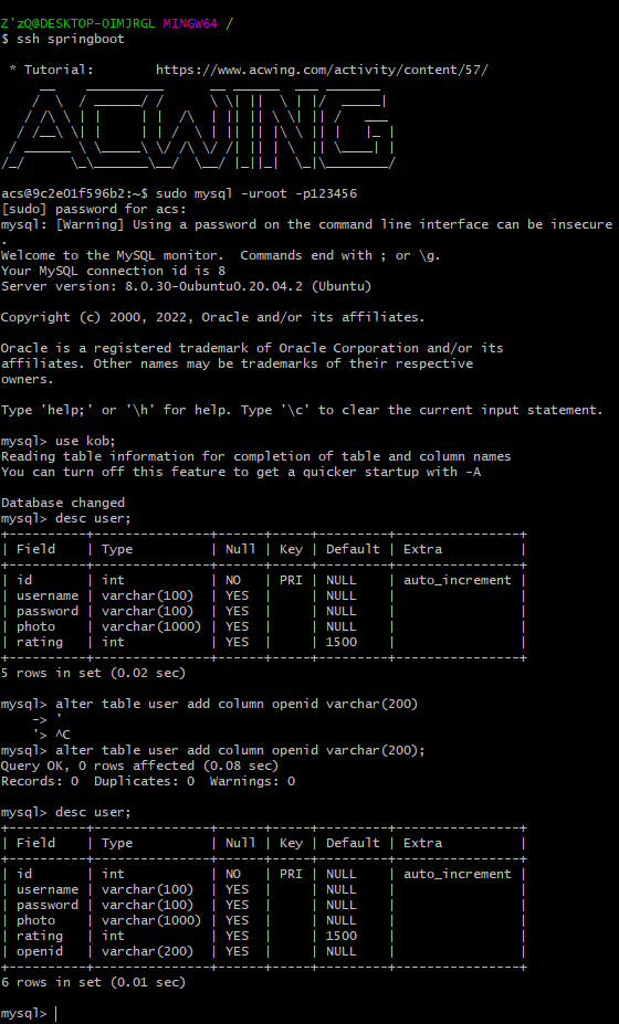工程课 SpringBoot-10.3. 上课笔记 - AcWing