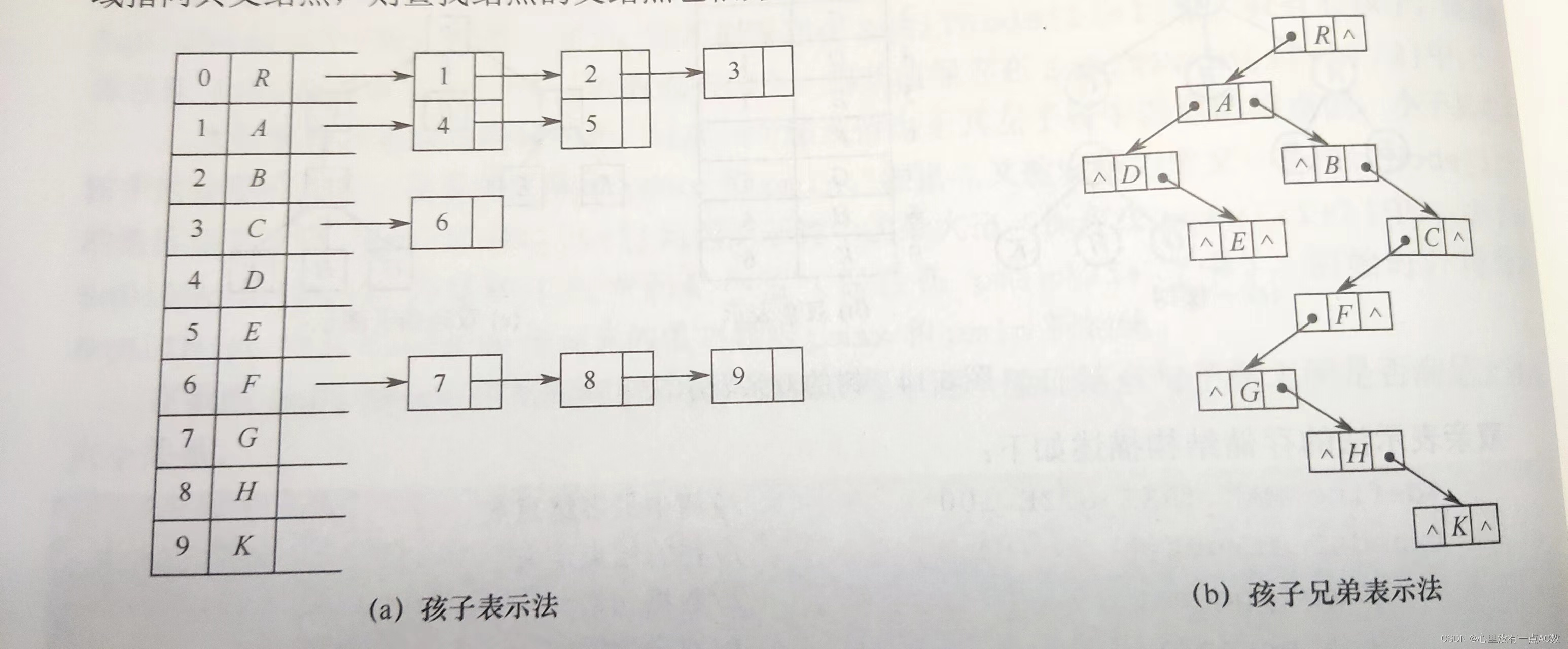 树、森林 Acwing 